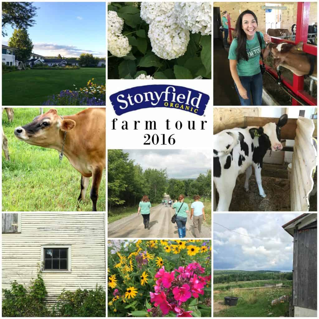 A Visit to Stonyfield Organic's Vermont Dairy Farms
